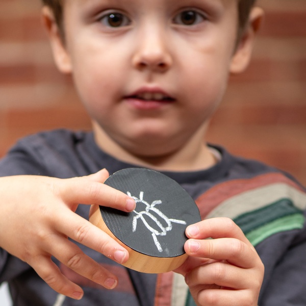 Minibeast Treasure Hunt - Educational Advantage, Distributor for The ...