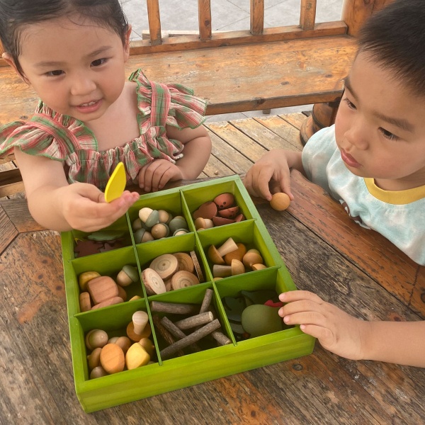 Nature’s Sorting Box - The Freckled Frog, Redtoys, Popular Playthings ...