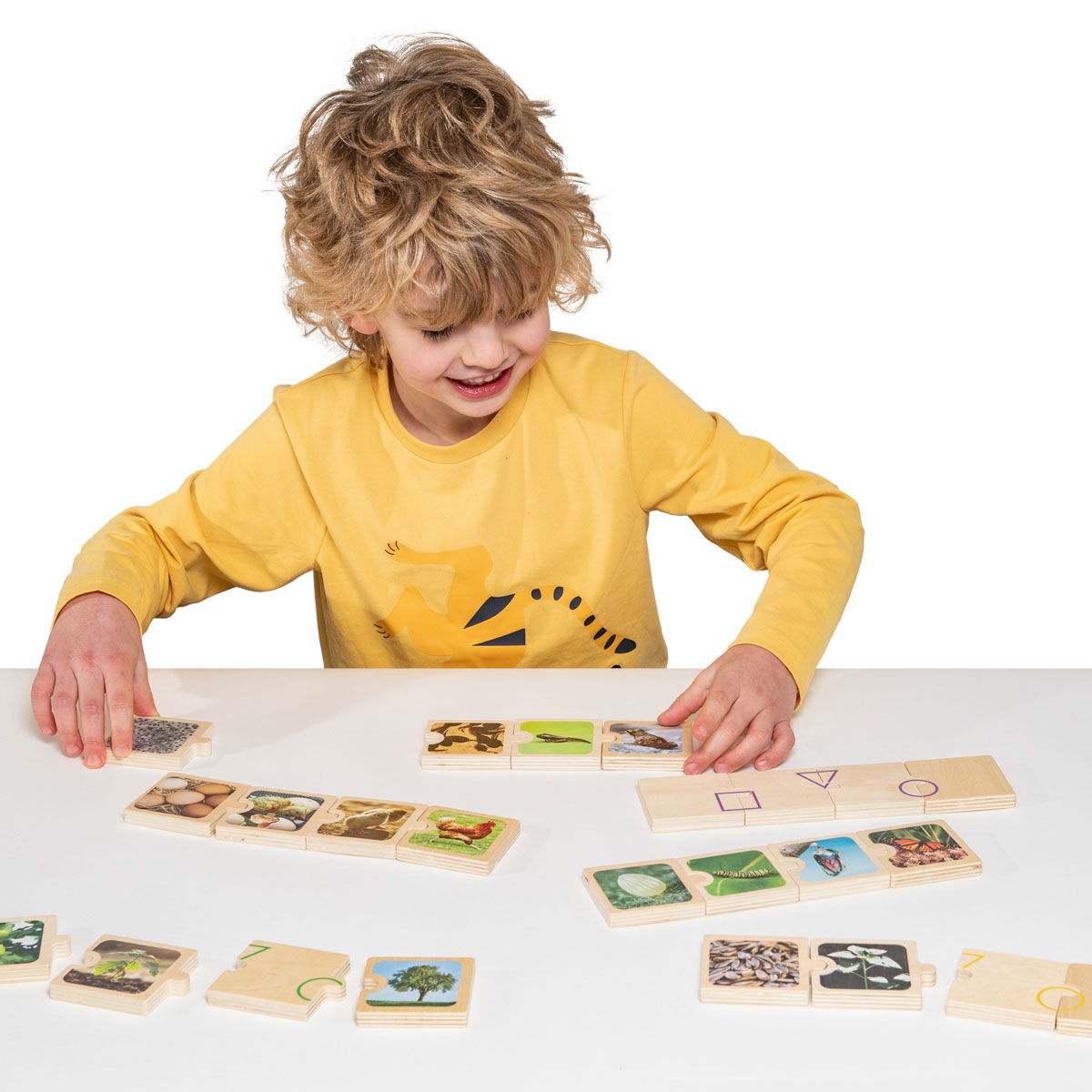 Life Cycles Puzzle - Educational Advantage, Distributor for The ...