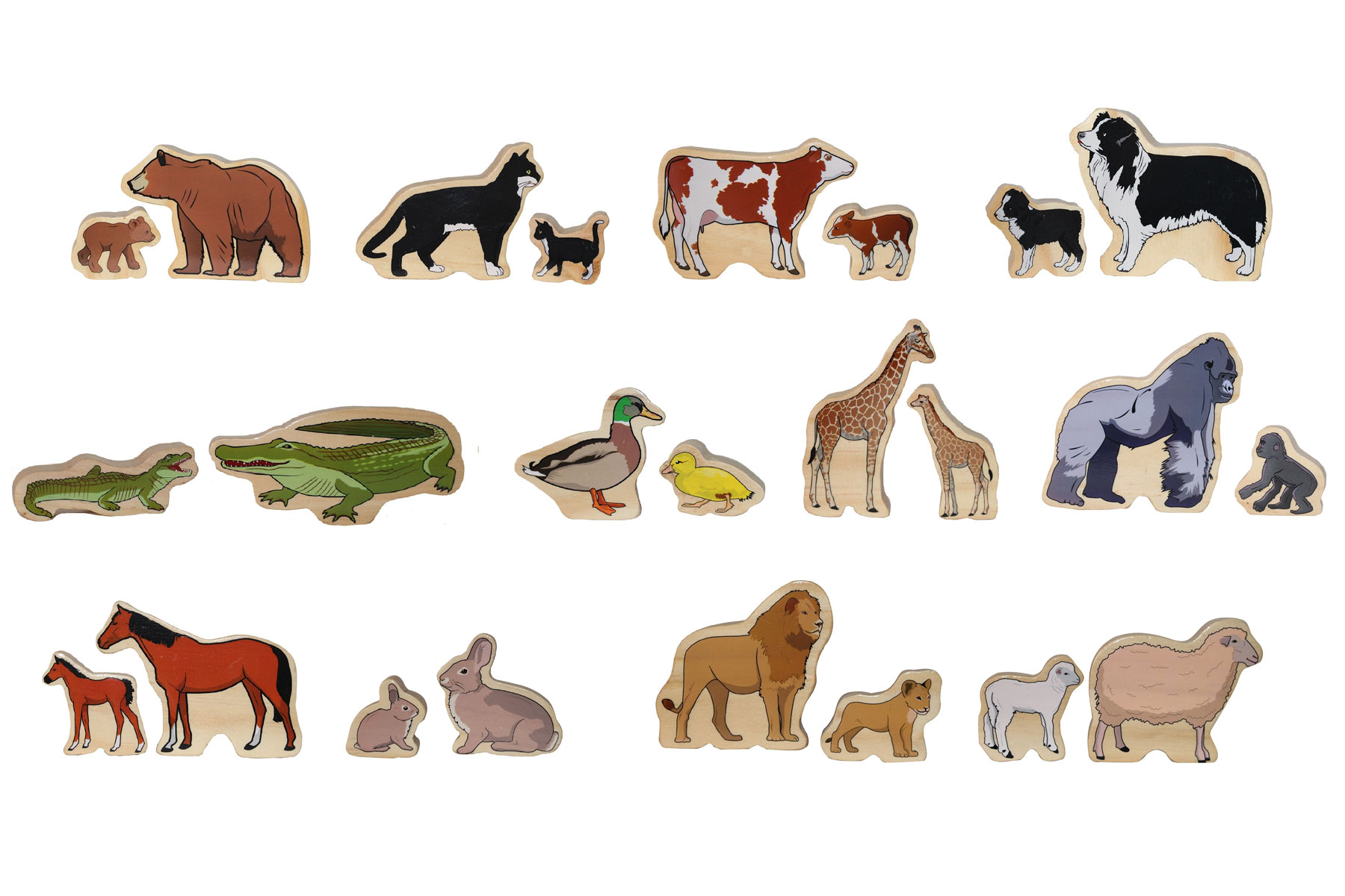 Animal Families - Educational Advantage, Distributor for The Freckled ...