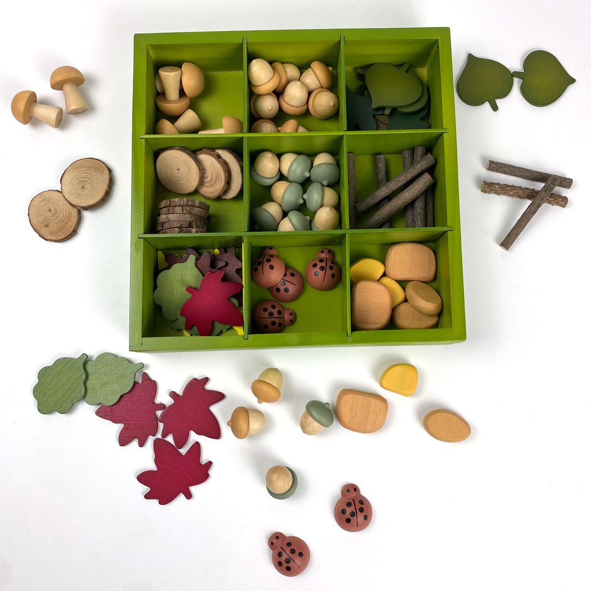 Nature’s Sorting Box - Educational Advantage, Distributor for The ...